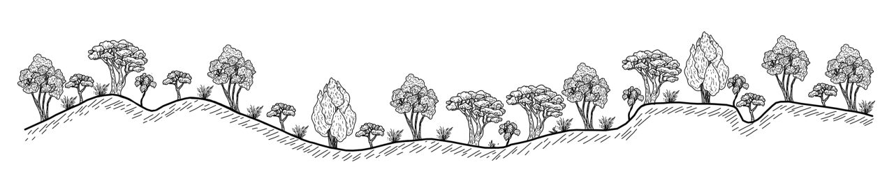 Lower Tarcutta - Revegetation Guide