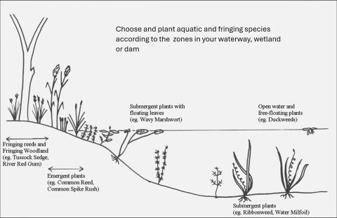 Chapter 4 – Specific Revegetation Design Principles - Revegetation Guide