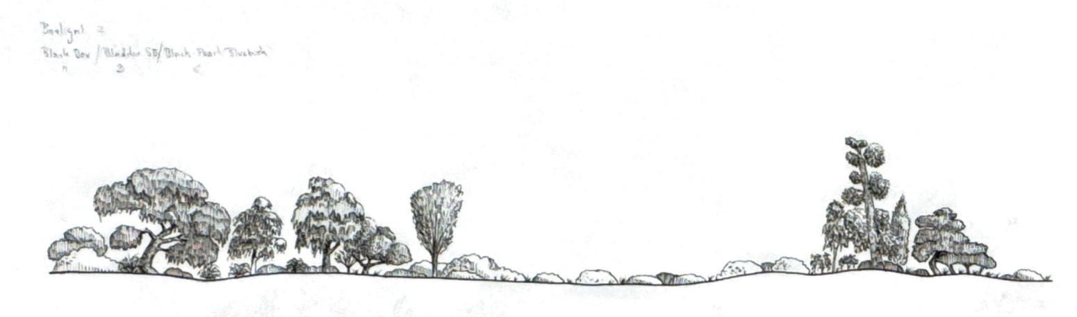 Booligal 2 - Revegetation Guide