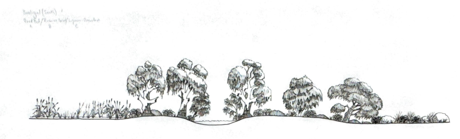 Booligal (southern) - Revegetation Guide