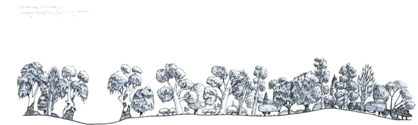 Carrathool (eastern) - Revegetation Guide