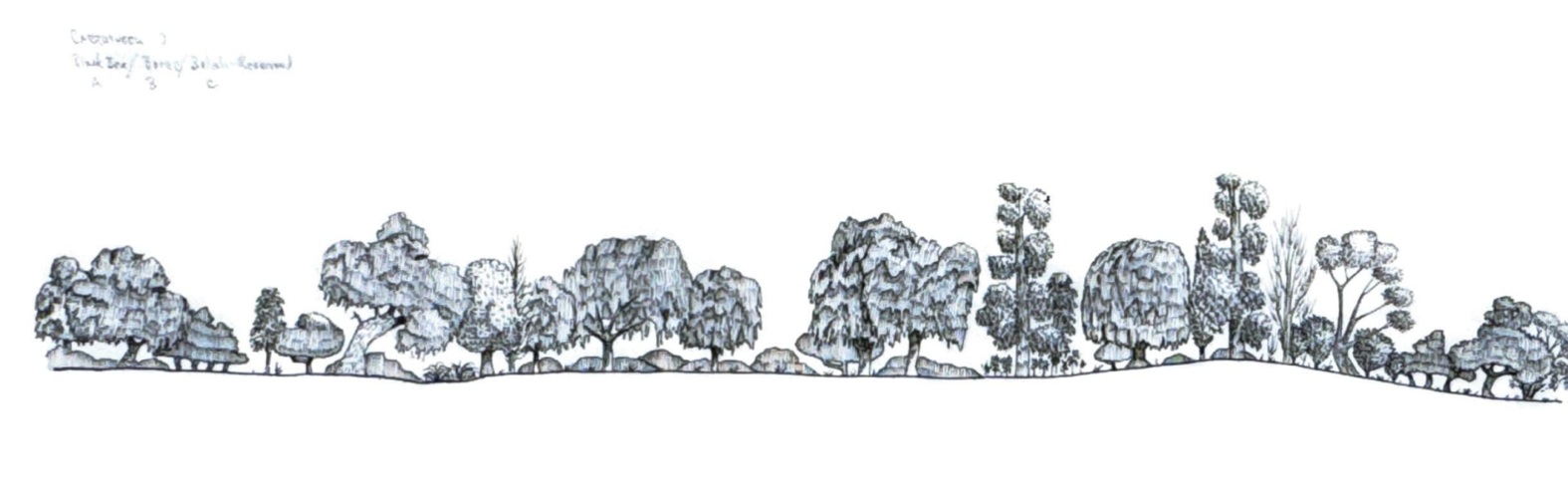 Carrathool (northern) - Revegetation Guide