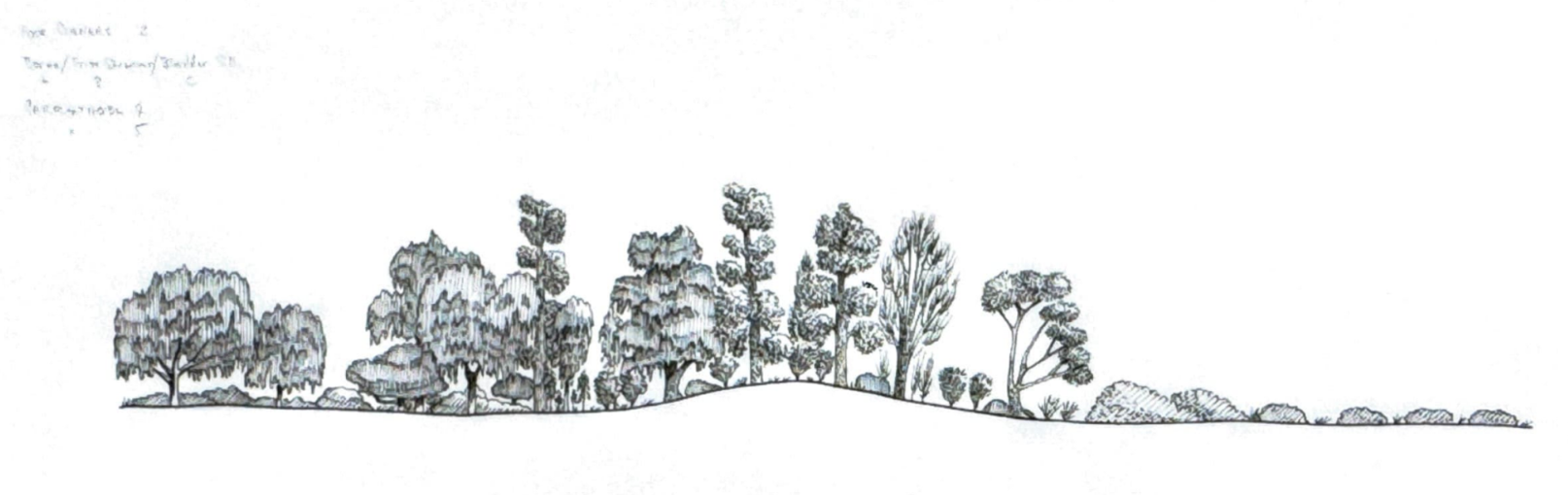 Carrathool (western) - Revegetation Guide