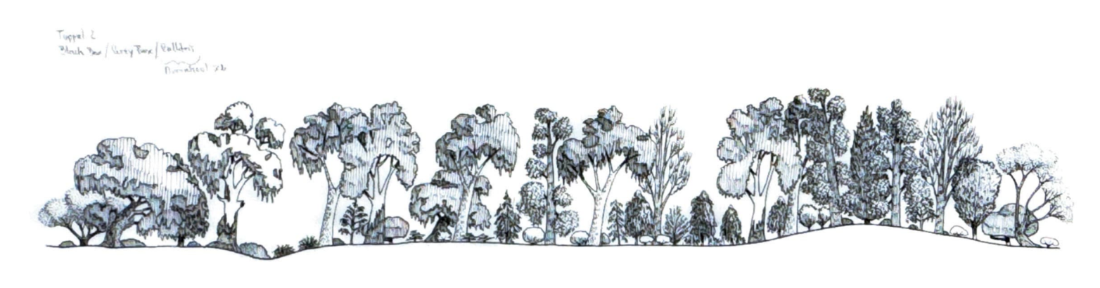 Tuppal 2 - Revegetation Guide