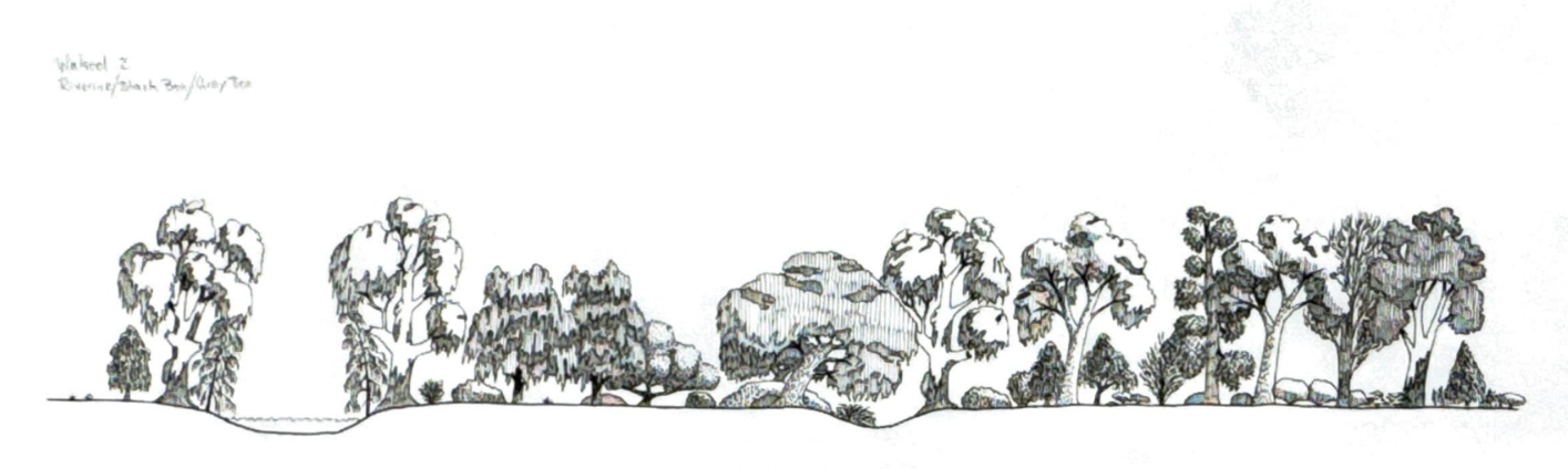 Wakool 2 - Revegetation Guide