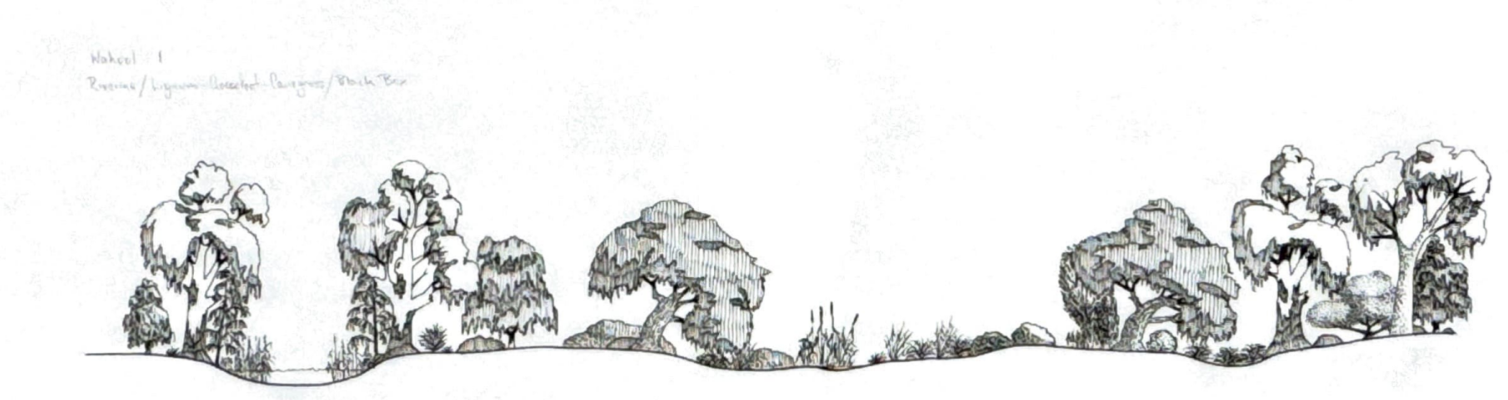 Wakool 1 - Revegetation Guide