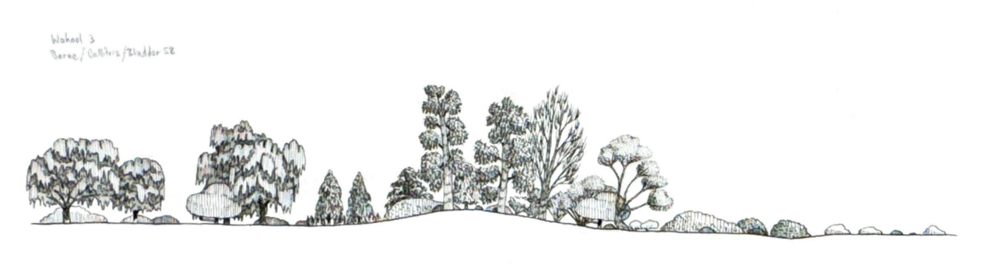 Wakool 3 - Revegetation Guide