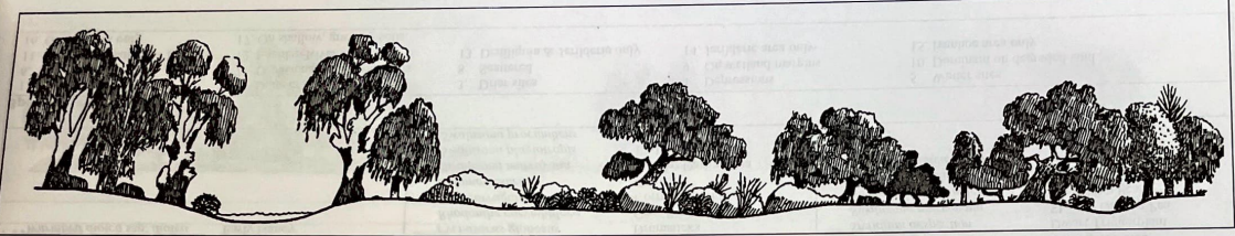 Carrathool 1 - Revegetation Guide