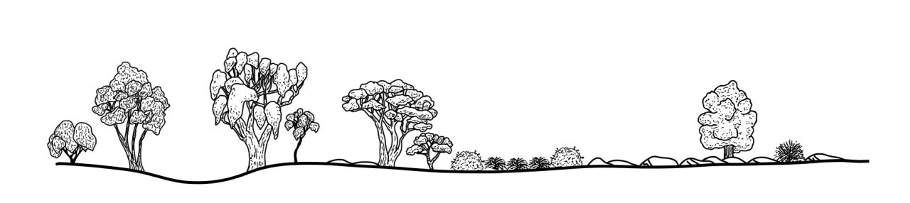 Booligal 3 - Revegetation Guide