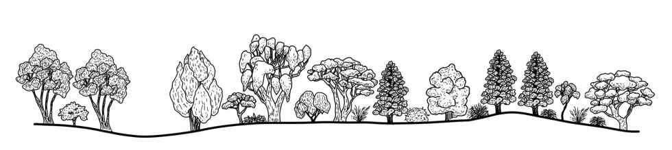 Carrathool (eastern) - Revegetation Guide