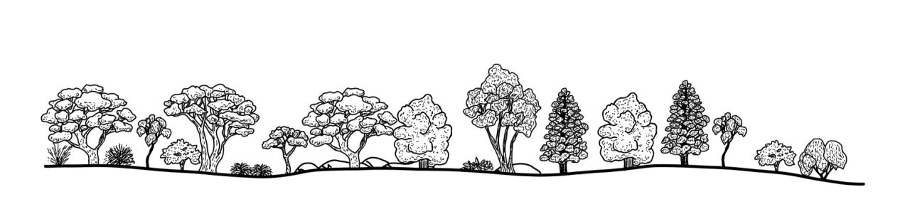 Carrathool (northern) - Revegetation Guide