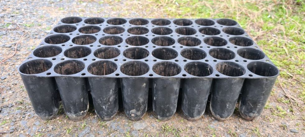 Chapter 5 - Planning for revegetation – the detail - Revegetation Guide