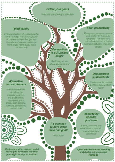 Chapter 2 - Planning Revegetation - Revegetation Guide