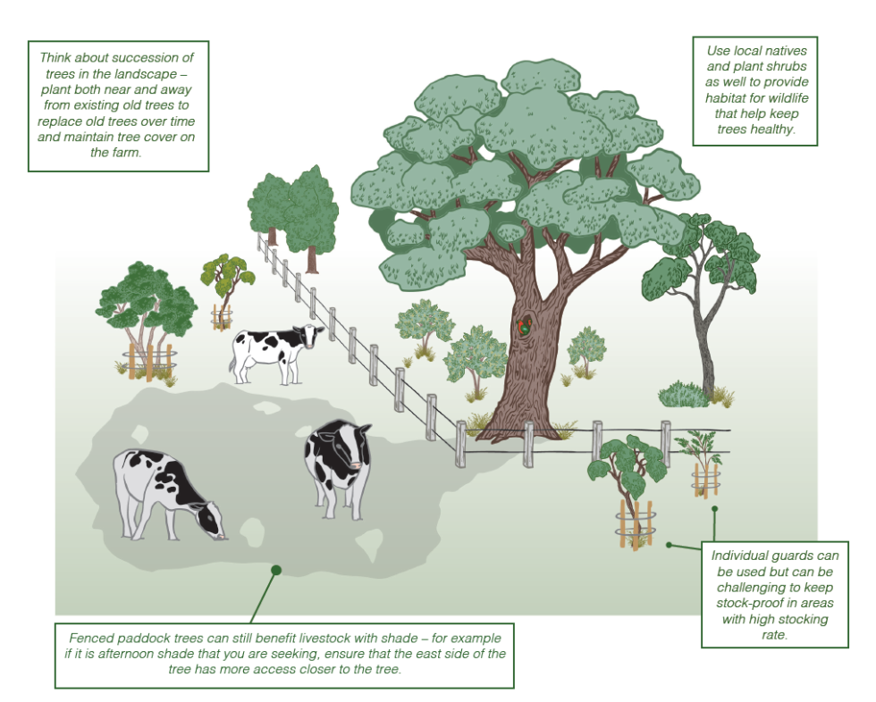 Chapter 4 – Specific Revegetation Design Principles - Revegetation Guide