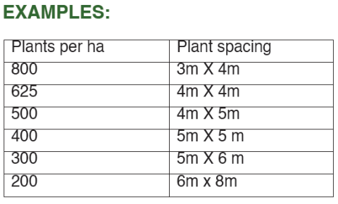 Chapter 5 - Planning for revegetation – the detail - Revegetation Guide