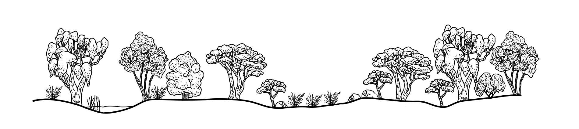 Wakool - Revegetation Guide