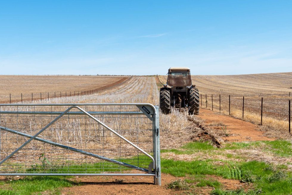 Chapter 5 - Planning for revegetation – the detail - Revegetation Guide