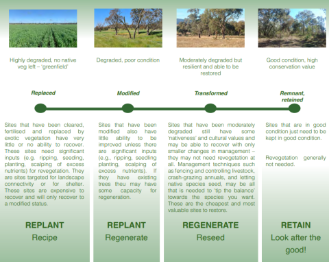 Chapter 2 - Planning Revegetation - Revegetation Guide